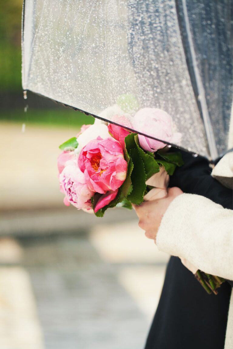 6 Outdoor Wedding Rain Plan Ideas to Save the Day