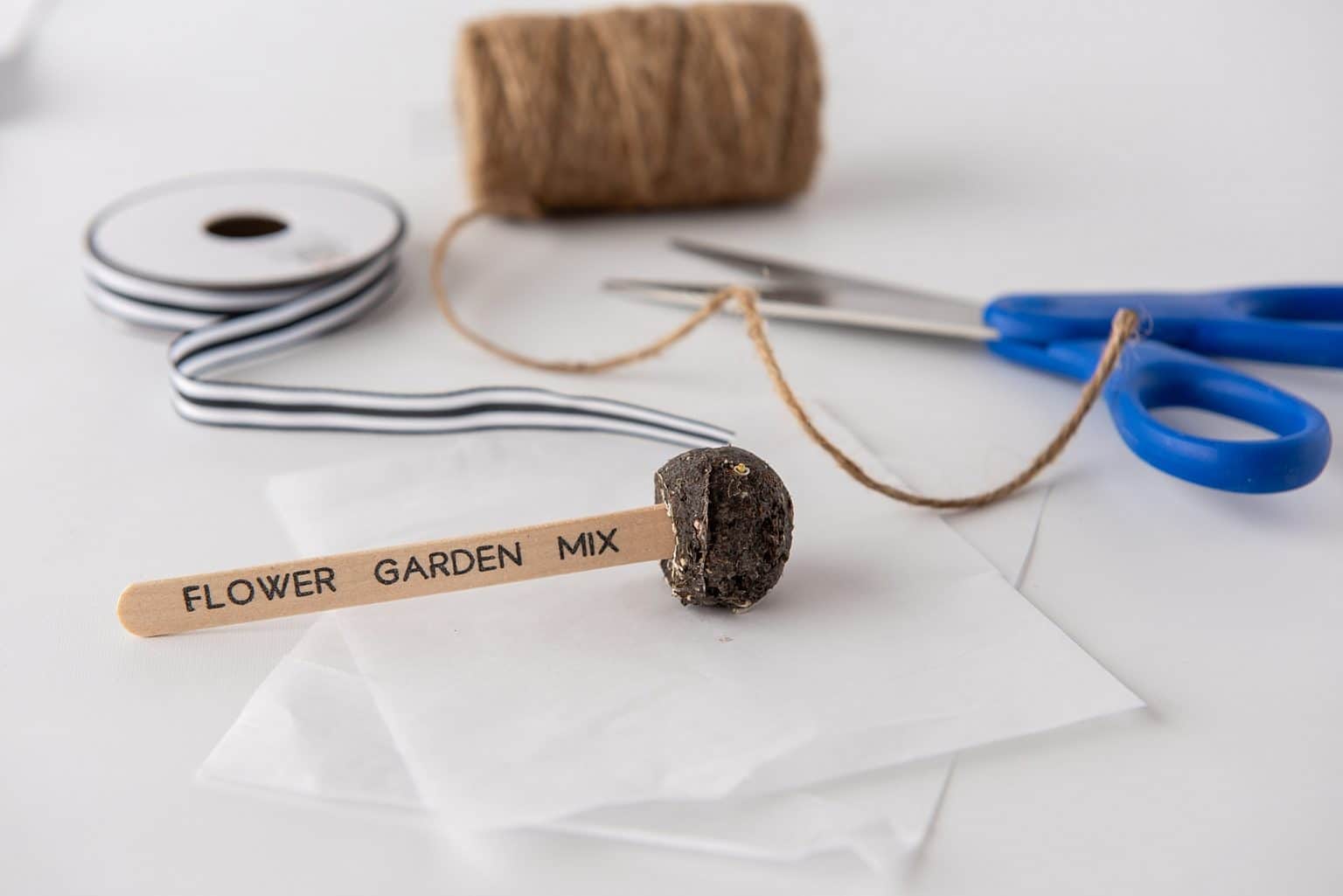 How to Make Simple DIY Seed Pops