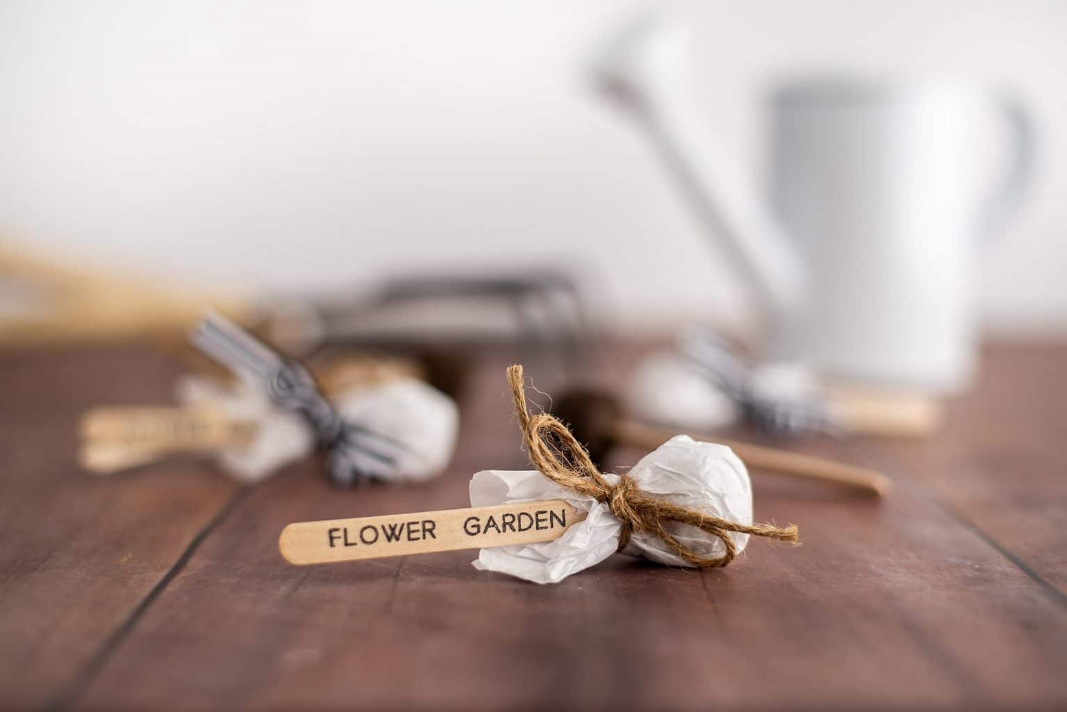 How to Make Simple DIY Seed Pops