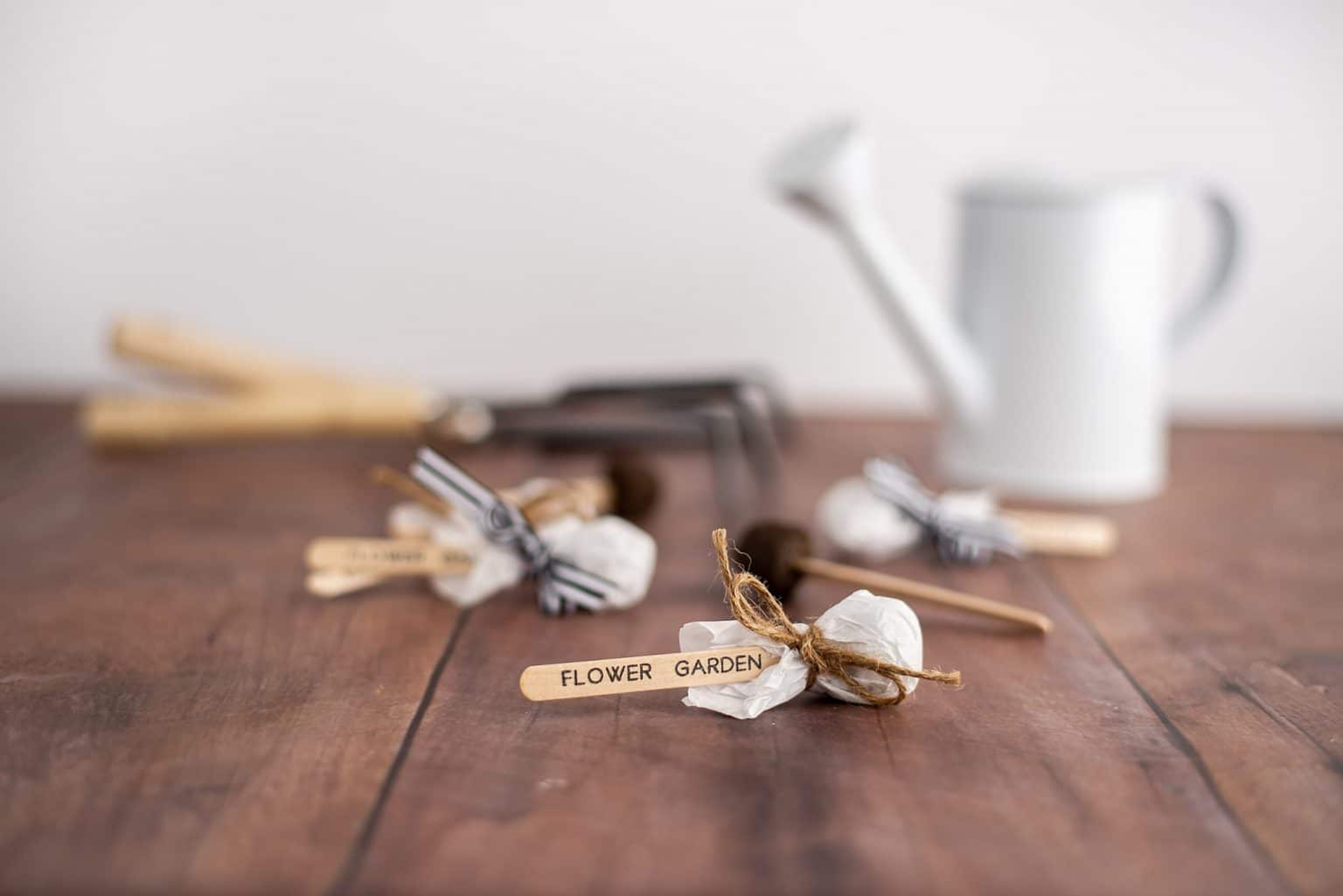 How to Make Simple DIY Seed Pops