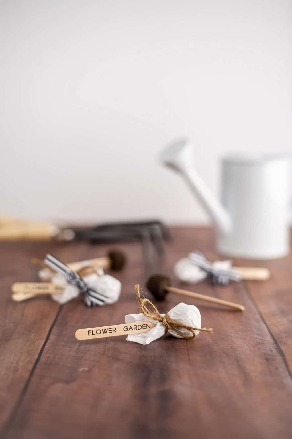 How to Make Simple DIY Seed Pops