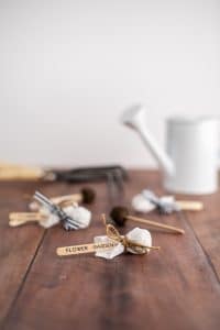 How to Make Simple DIY Seed Pops