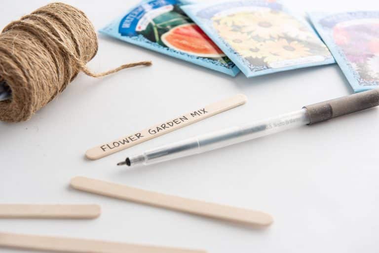 How to Make Simple DIY Seed Pops