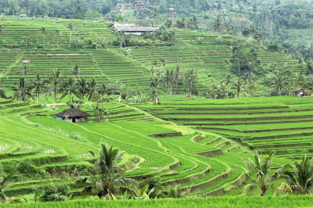 12 Amazing Things to Do in Bali for Couples