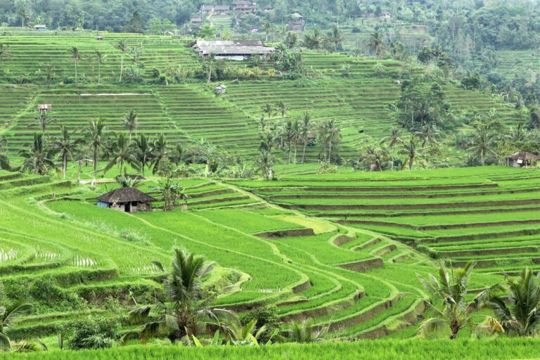 12 Amazing Things to Do in Bali for Couples