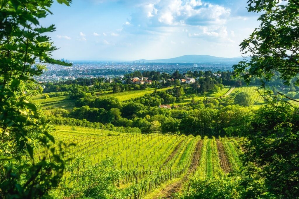 12 Surprisingly Romantic Things to Do in Vienna Austria