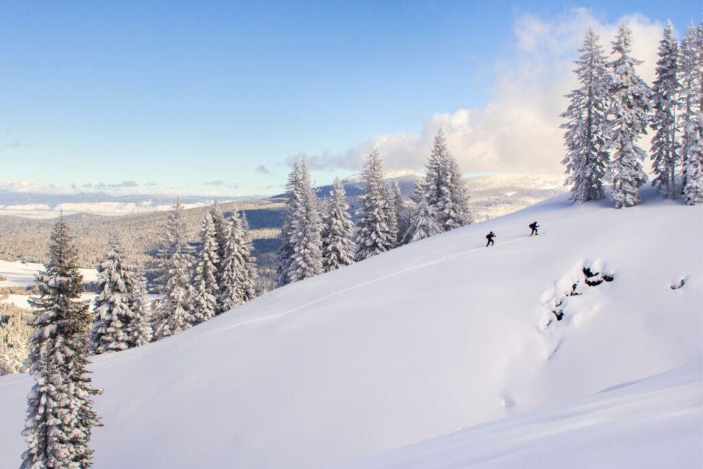 18 Best Things to Do in Portland Oregon in Winter